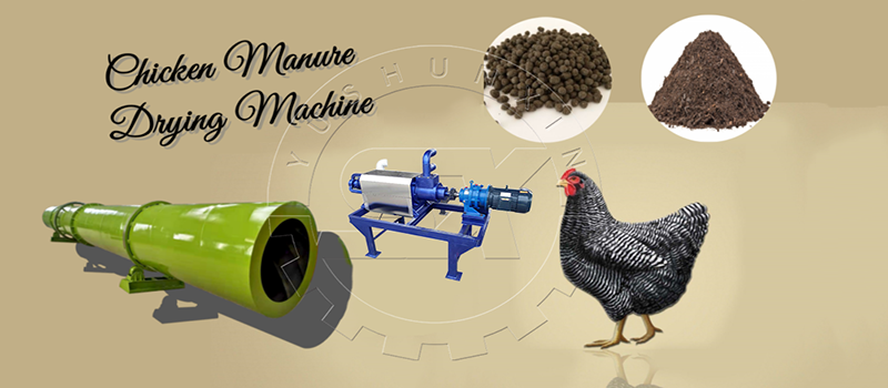 Poultry Manure Drying Machine To Bengal | 65% too 20% | Cost